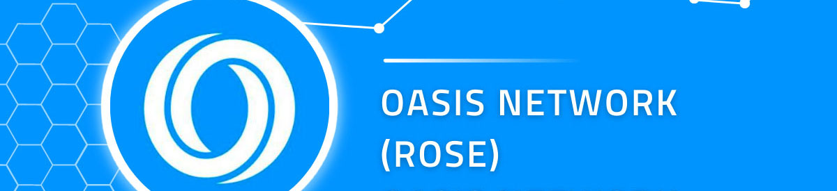 Что такое Oasis Network? Обзор сети Oasis. Как работает сеть?