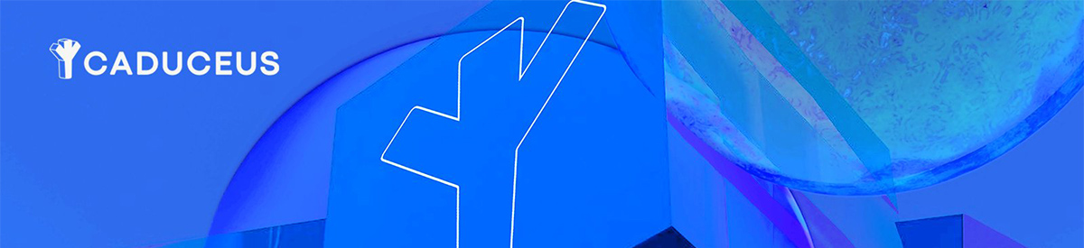 Что такое Caduceus Metaverse Protocol? Обзор сети Caduceus.