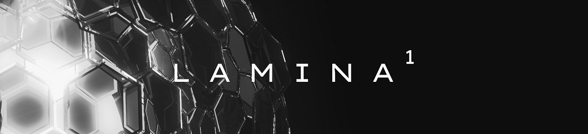 Что такое Lamina1? Обзор блокчейна Lamina1. Как работает?