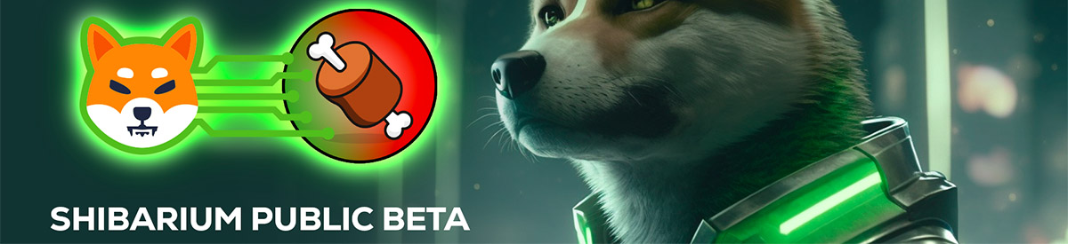 Тестнет Shibarium BETA | Тестируем Layer 2 от Shiba Inu