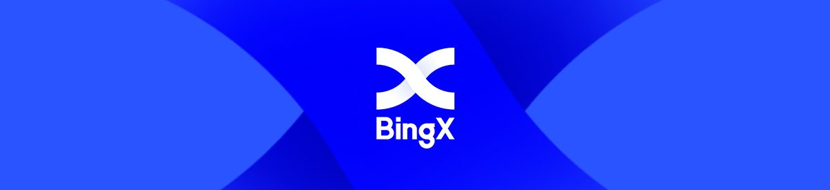 Биржа BingX | Обзор криптовалютной биржы BingX