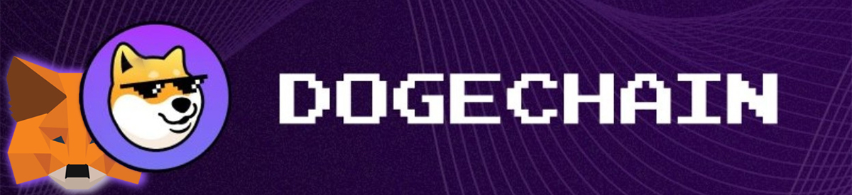 Как добавить сеть DogeChain в Metamask? Настройки сети Doge.